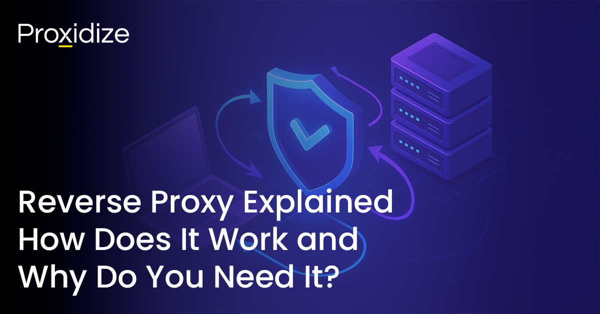 Reverse Proxy Explained – How Does It Work And Why Do You Need It? - Proxidize